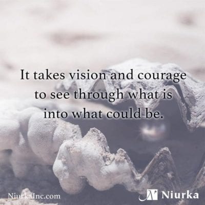 Your Formula for Manifesting Your Vision | Niurka, Inc.